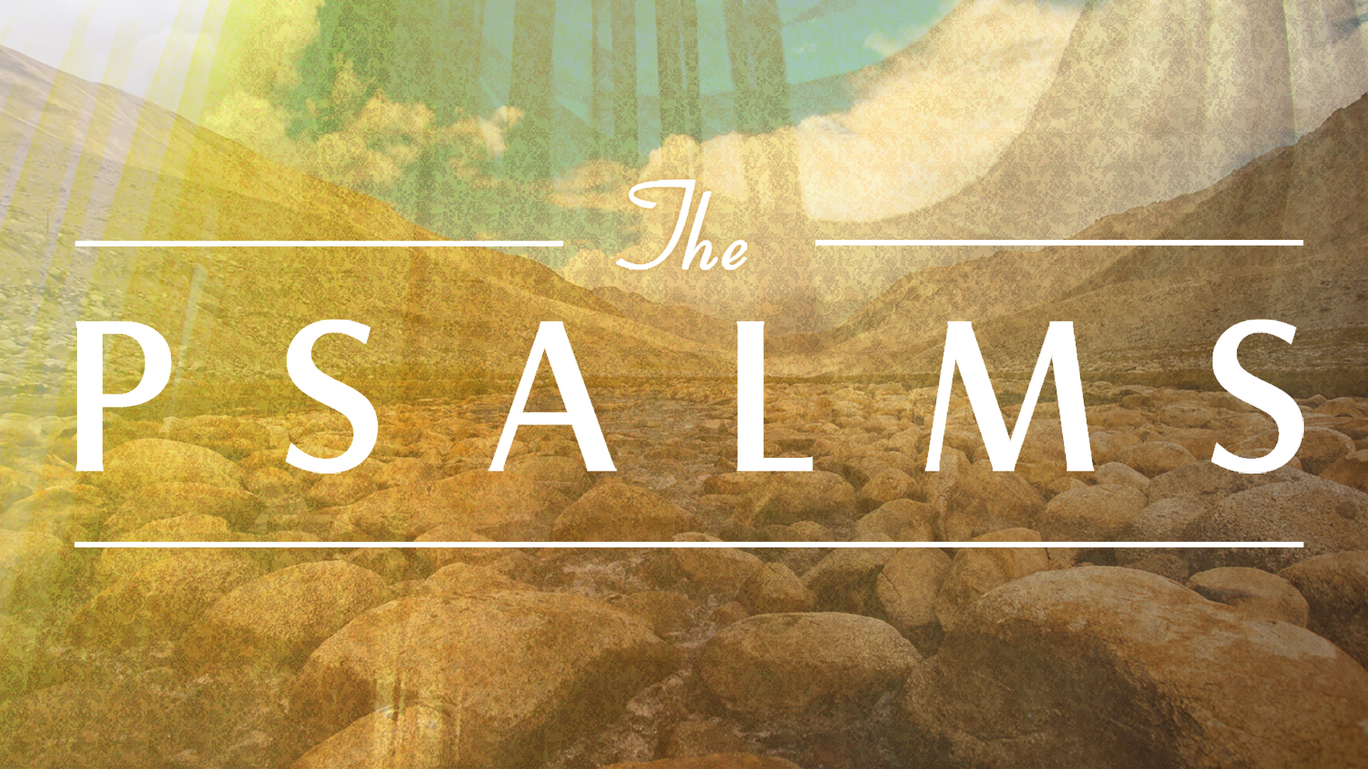 Psalms Series Graphic Wide.jpg