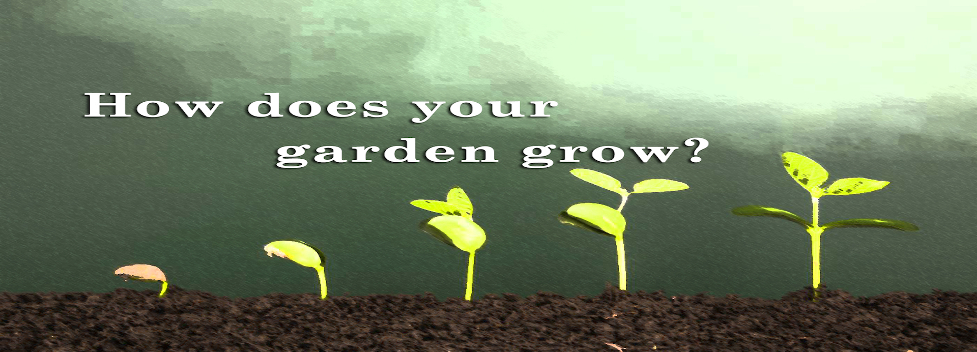 How Does Your Garden Grow? | Shiloh Baptist Church