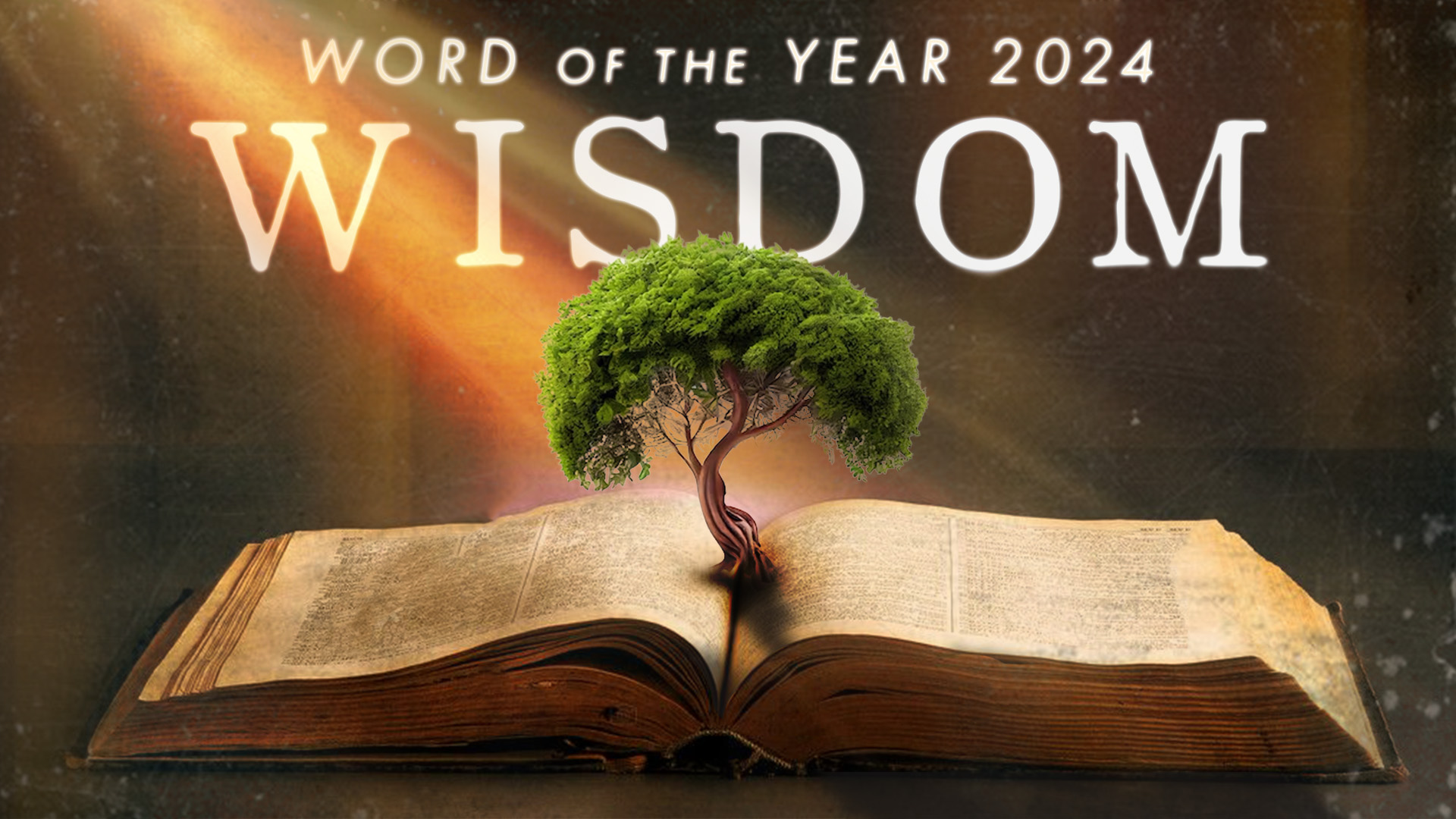 WordoftheYear2024-Wisdom_Graphic_1920x1080_FINAL_12-03-23.jpg